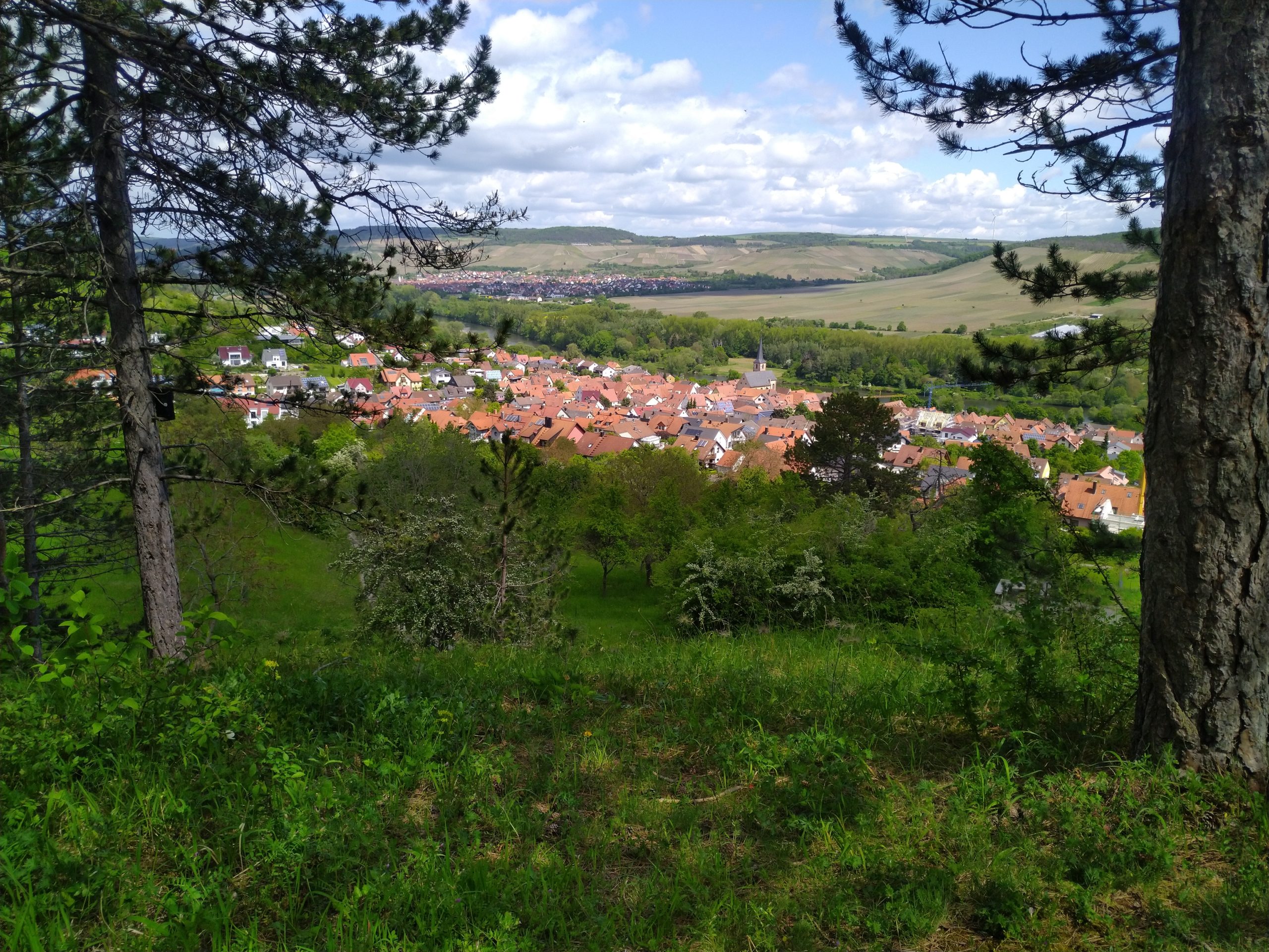 Erlabrunn | GRÜNE WÜRZBURG-LAND